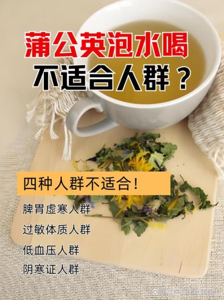 蒲公英泡水哪些人不能喝_孕妇低血压人群禁忌-第2张图片-山城妙识