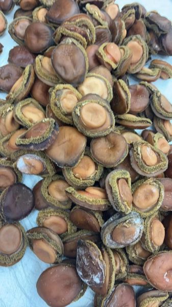 鲍鱼多少钱一斤市场价_鲍鱼价格为什么差距大-第3张图片-山城妙识