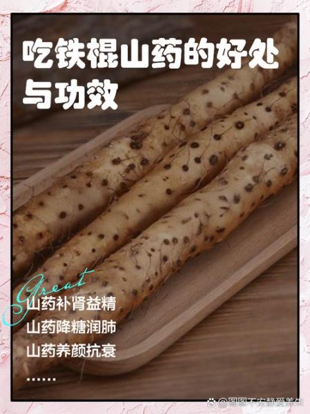淮山药的功效与作用_淮山药怎么吃最养脾胃-第2张图片-山城妙识 淮山药的功效与作用_淮山药怎么吃最养脾胃-第2张图片-山城妙识