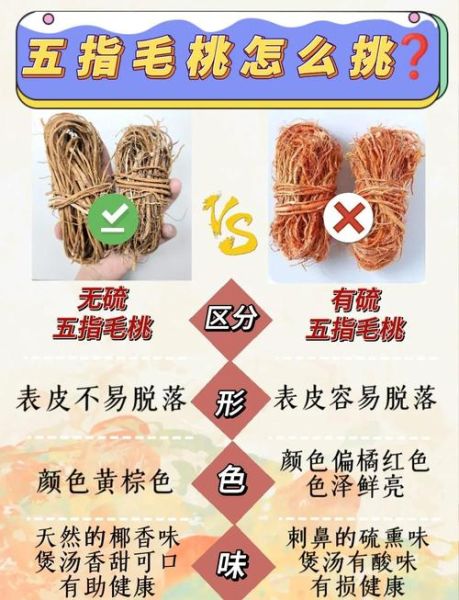 正宗五指毛桃图片长什么样_如何辨别真假-第1张图片-山城妙识