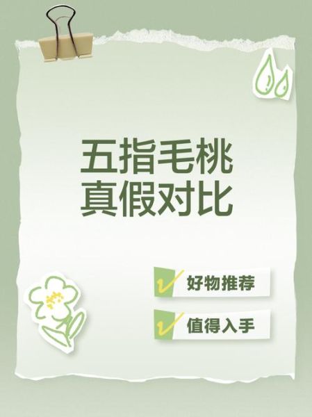 正宗五指毛桃图片长什么样_如何辨别真假-第2张图片-山城妙识