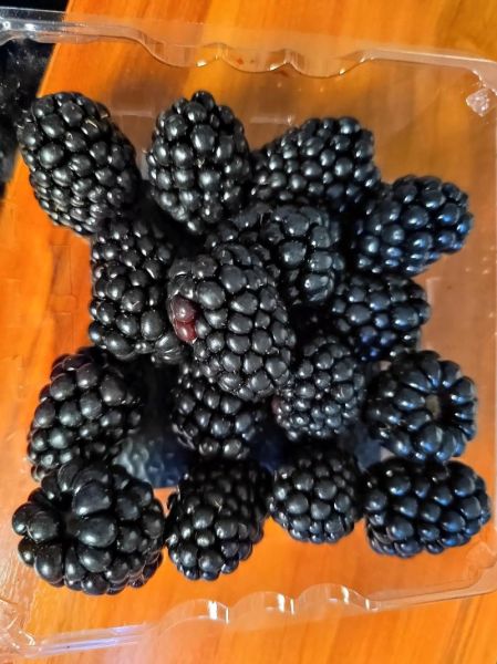 黑莓水果多少钱一斤_黑莓价格为什么差异大-第1张图片-山城妙识
