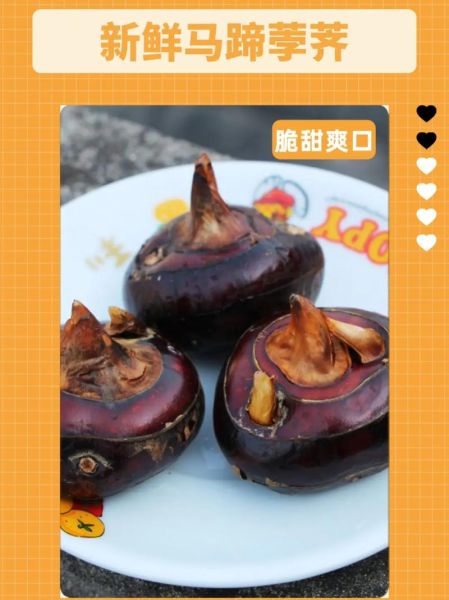 马蹄的拼音怎么写_马蹄的拼音声调-第1张图片-山城妙识