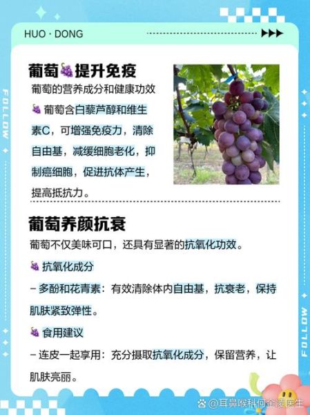 葡萄的营养价值_吃葡萄有什么好处-第2张图片-山城妙识