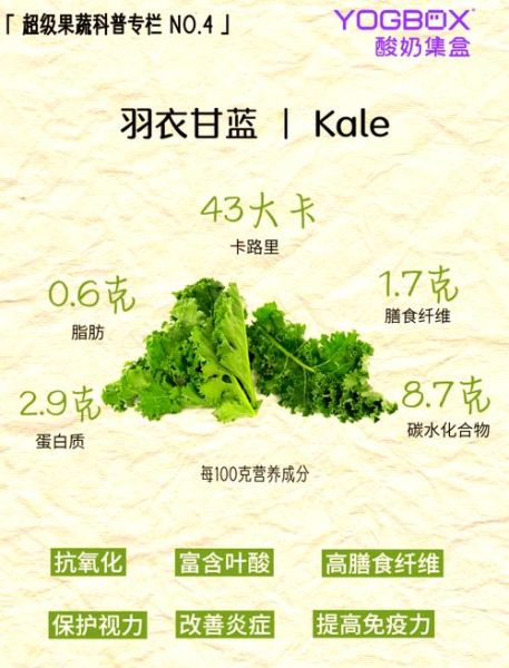 羽衣甘蓝怎么吃有营养_羽衣甘蓝榨汁还是凉拌好-第2张图片-山城妙识