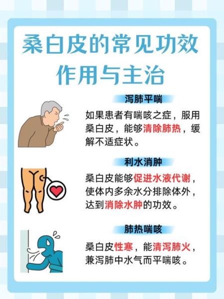 桑白皮汤的功效与作用_桑白皮汤怎么喝-第3张图片-山城妙识 桑白皮汤的功效与作用_桑白皮汤怎么喝-第3张图片-山城妙识