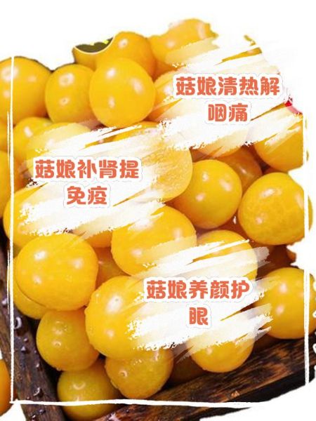 菇娘的营养价值_菇娘的功效与作用-第1张图片-山城妙识