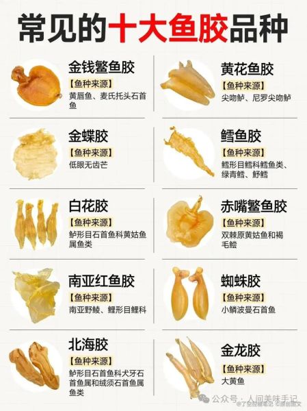 鱼胶是鱼泡吗_鱼胶和鱼鳔的区别-第3张图片-山城妙识