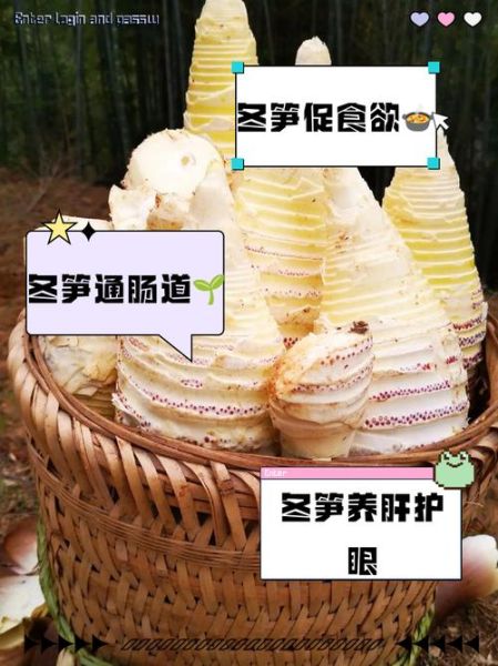冬笋粉的功效与作用_冬笋粉怎么吃效果最好-第3张图片-山城妙识