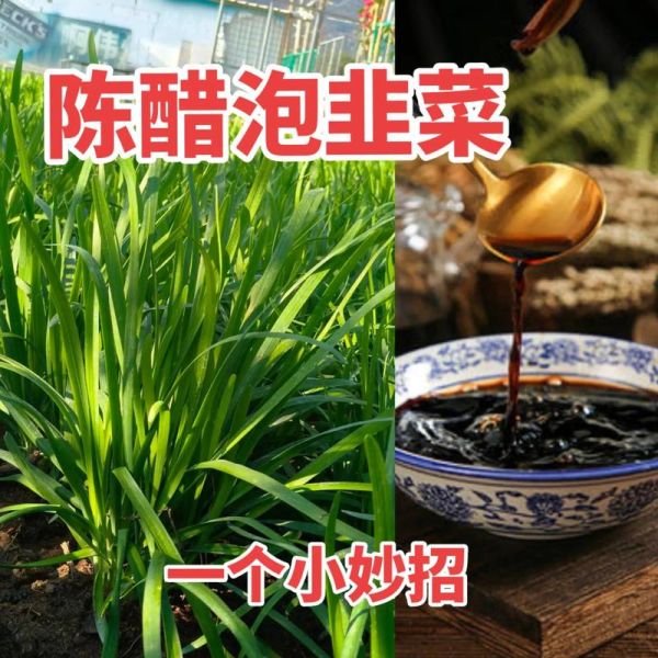 韭菜怎么腌制才好吃_韭菜腌制多久最入味-第2张图片-山城妙识