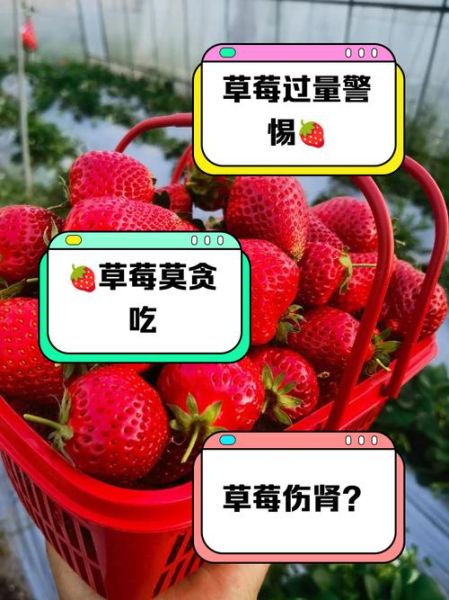 草莓吃多了会上火吗_草莓上火真相-第1张图片-山城妙识