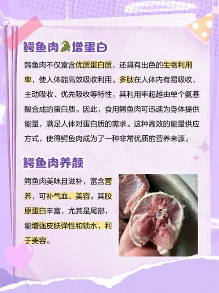 鳄鱼肉可以吃吗_鳄鱼肉营养价值-第1张图片-山城妙识 鳄鱼肉可以吃吗_鳄鱼肉营养价值-第1张图片-山城妙识