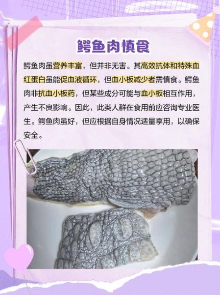鳄鱼肉可以吃吗_鳄鱼肉营养价值-第2张图片-山城妙识 鳄鱼肉可以吃吗_鳄鱼肉营养价值-第2张图片-山城妙识