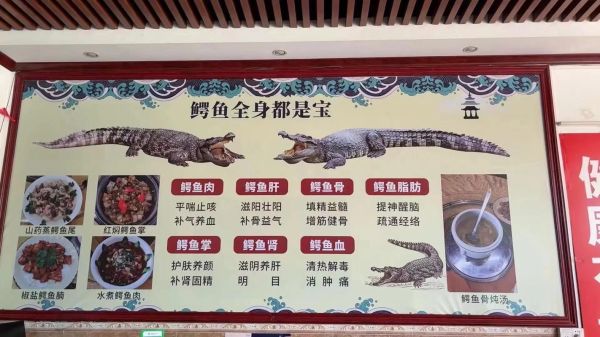 鳄鱼肉可以吃吗_鳄鱼肉营养价值-第3张图片-山城妙识 鳄鱼肉可以吃吗_鳄鱼肉营养价值-第3张图片-山城妙识