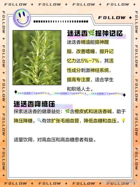 迷迭香茶的功效与作用及禁忌_迷迭香茶什么人不能喝-第2张图片-山城妙识