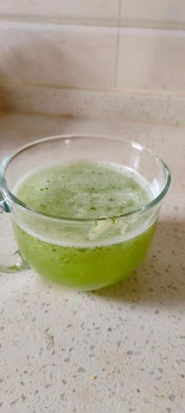 芹菜汁的做法_榨汁机怎么榨芹菜汁-第1张图片-山城妙识