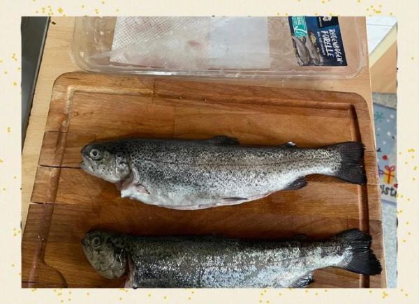 红烧虹鳟鱼怎么做好吃_虹鳟鱼红烧技巧-第2张图片-山城妙识