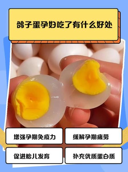 鸽子蛋什么人不能吃_孕妇可以吃吗-第2张图片-山城妙识