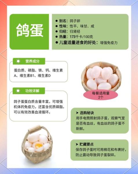 鸽子蛋什么人不能吃_孕妇可以吃吗-第1张图片-山城妙识