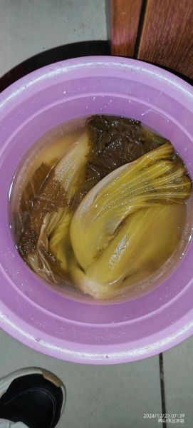 酸菜怎么腌才脆_酸菜腌制多久能吃-第3张图片-山城妙识