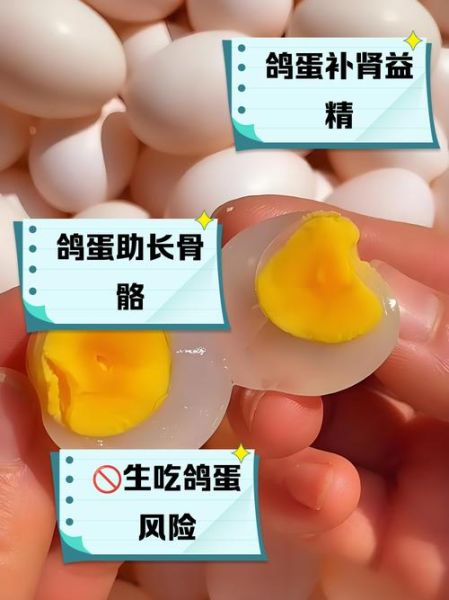 鸽子蛋什么人不能吃_孕妇可以吃吗-第3张图片-山城妙识