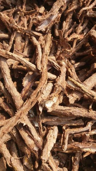 地骨皮图片大全_地骨皮长什么样-第1张图片-山城妙识