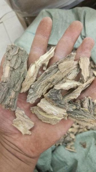 地骨皮图片大全_地骨皮长什么样-第2张图片-山城妙识