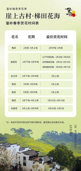 婺源油菜花什么时候开_婺源油菜花最佳观赏时间-第2张图片-山城妙识