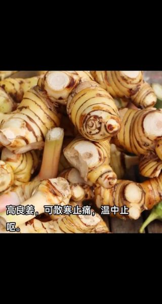 良姜长什么样_良姜和生姜的区别-第1张图片-山城妙识