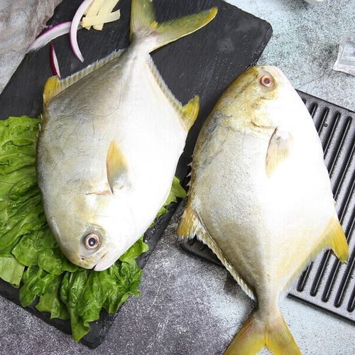 冷冻金鲳鱼怎么做好吃_冷冻金鲳鱼做法大全-第3张图片-山城妙识