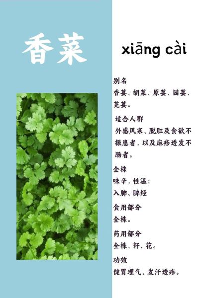 女人经常吃香菜好吗_香菜对女性的好处与坏处-第1张图片-山城妙识