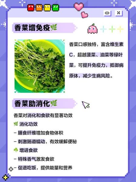 女人经常吃香菜好吗_香菜对女性的好处与坏处-第3张图片-山城妙识