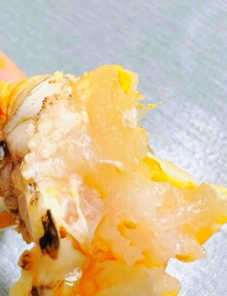 大闸蟹公蟹蟹膏是什么_蟹膏和蟹黄的区别-第2张图片-山城妙识