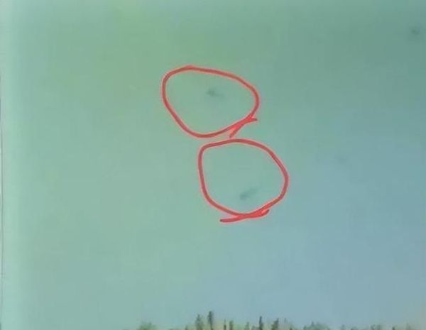 喀纳斯湖水怪真相大白_喀纳斯湖水怪是什么生物-第1张图片-山城妙识