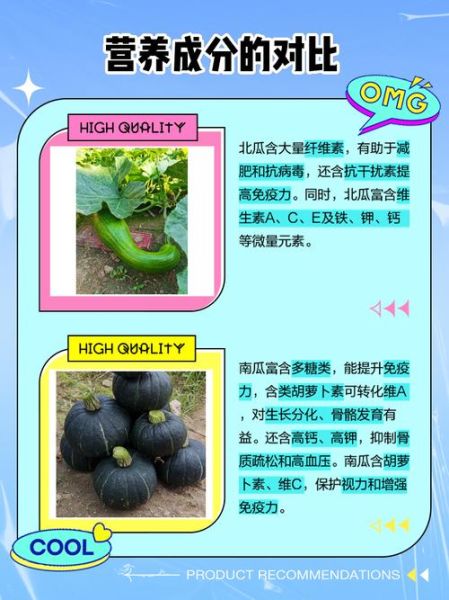 北瓜为什么叫尸瓜_北瓜和南瓜的区别-第1张图片-山城妙识