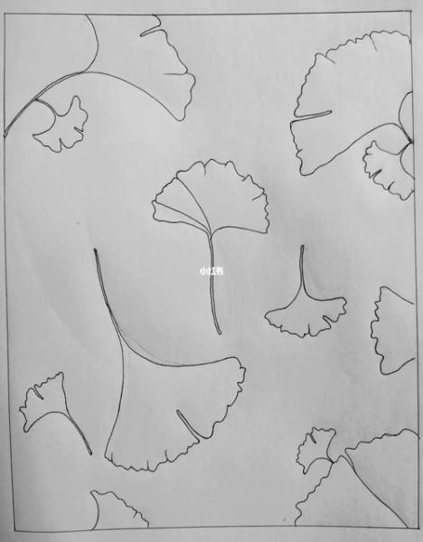 白果树简笔画怎么画_白果树简笔画步骤图-第3张图片-山城妙识 白果树简笔画怎么画_白果树简笔画步骤图-第3张图片-山城妙识