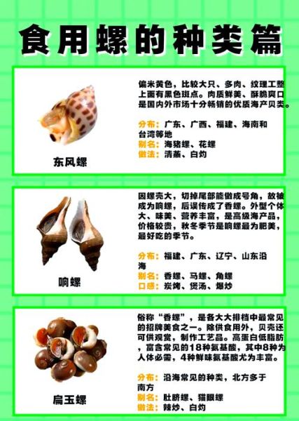 螺类大全名称图片_如何快速识别常见螺类-第1张图片-山城妙识 螺类大全名称图片_如何快速识别常见螺类-第1张图片-山城妙识