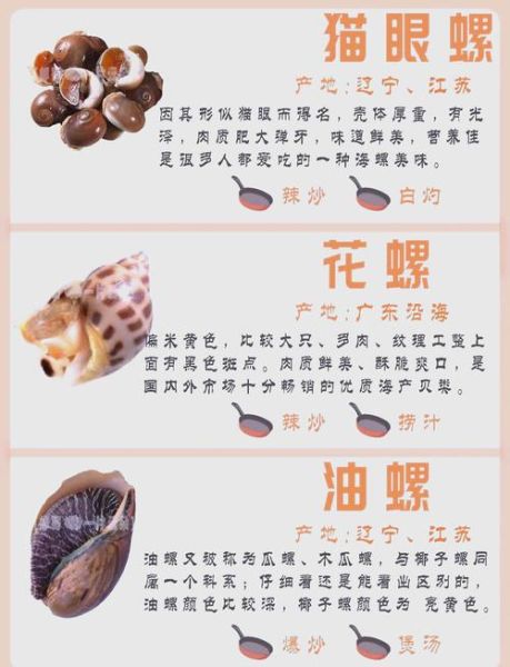 螺类大全名称图片_如何快速识别常见螺类-第3张图片-山城妙识 螺类大全名称图片_如何快速识别常见螺类-第3张图片-山城妙识