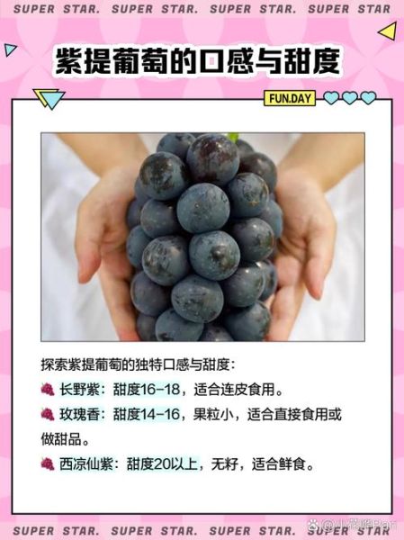 紫葡萄的功效与作用及禁忌_哪些人不能吃紫葡萄-第3张图片-山城妙识
