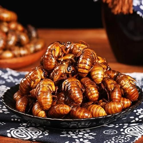 知了猴怎么保存新鲜_知了猴放冰箱能活多久-第2张图片-山城妙识