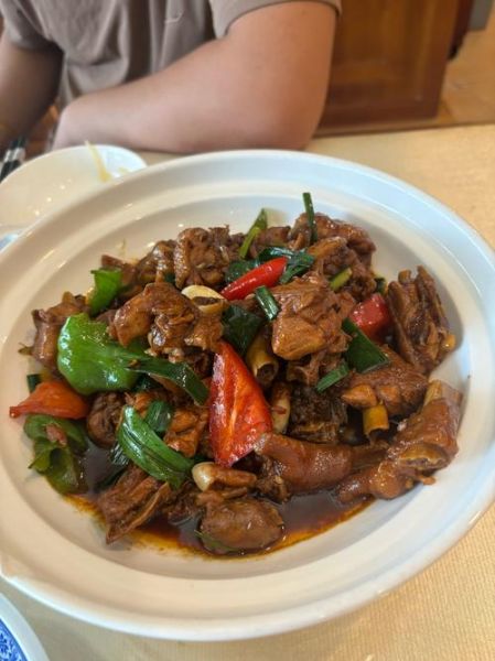 红烧鸡怎么烧好吃_红烧鸡的做法步骤-第3张图片-山城妙识