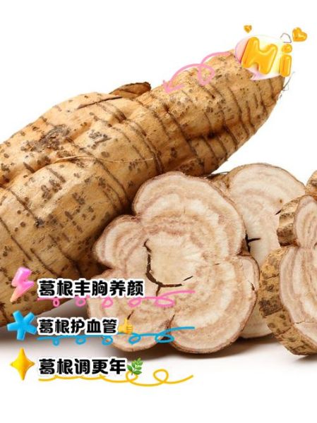 葛根的功效与作用有哪些_葛根怎么吃效果最好-第1张图片-山城妙识