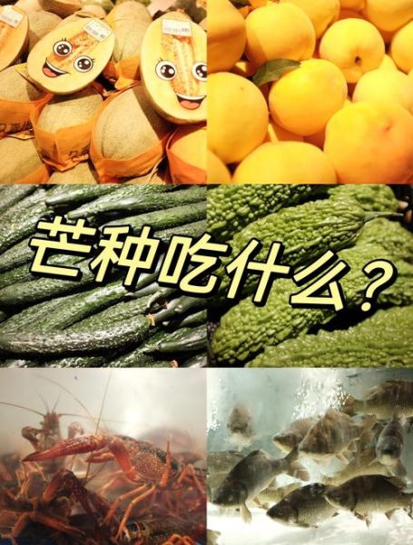 芒种吃什么好_芒种时节饮食推荐-第2张图片-山城妙识