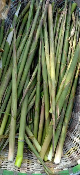 水笋的功效与作用_水笋的禁忌有哪些-第3张图片-山城妙识 水笋的功效与作用_水笋的禁忌有哪些-第3张图片-山城妙识