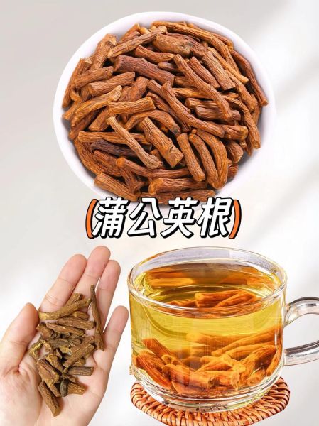 蒲公英能治疗胆结石吗_胆结石喝蒲公英根茶多久见效-第1张图片-山城妙识