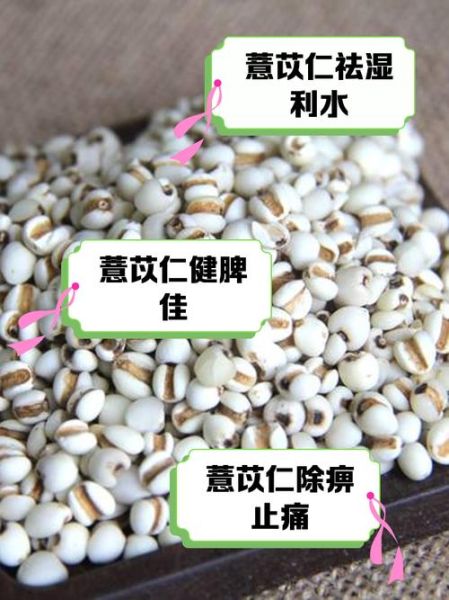 小薏米有什么功效与作用_怎么吃才祛湿健脾-第1张图片-山城妙识 小薏米有什么功效与作用_怎么吃才祛湿健脾-第1张图片-山城妙识