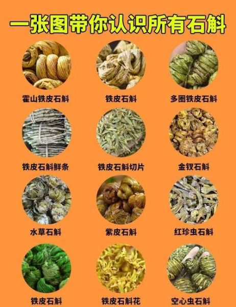 石斛能治什么病_石斛的功效与作用-第3张图片-山城妙识 石斛能治什么病_石斛的功效与作用-第3张图片-山城妙识