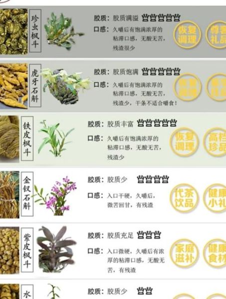 石斛能治什么病_石斛的功效与作用-第1张图片-山城妙识 石斛能治什么病_石斛的功效与作用-第1张图片-山城妙识