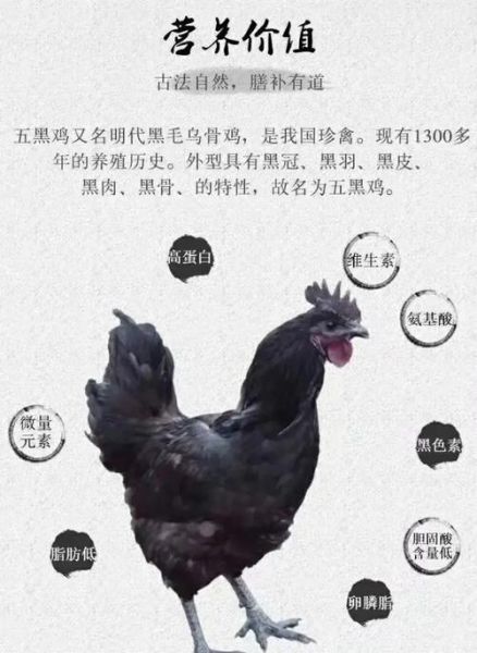 乌鸡蛋的功效与作用_乌鸡蛋适合什么人吃-第2张图片-山城妙识 乌鸡蛋的功效与作用_乌鸡蛋适合什么人吃-第2张图片-山城妙识