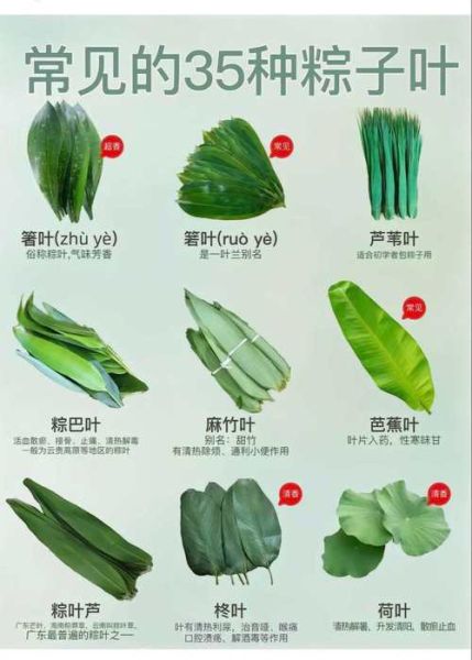 包粽子怎么包_粽子叶怎么处理-第3张图片-山城妙识 包粽子怎么包_粽子叶怎么处理-第3张图片-山城妙识